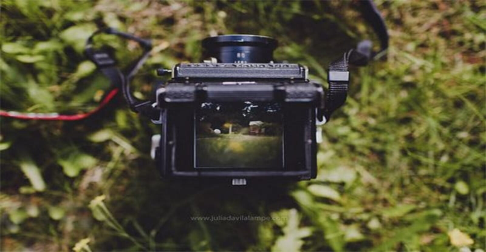 Life Is Like A Camera? You Just Focus On What’s Important - Sidomi