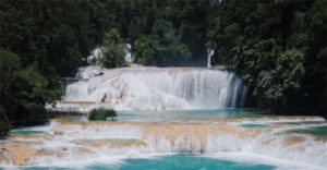 How to Visit the Agua Azul Waterfalls in Mexico? - Sidomi