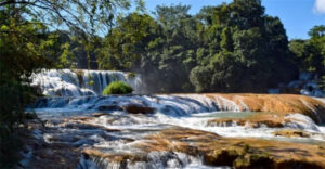 How to Visit the Agua Azul Waterfalls in Mexico? - Sidomi